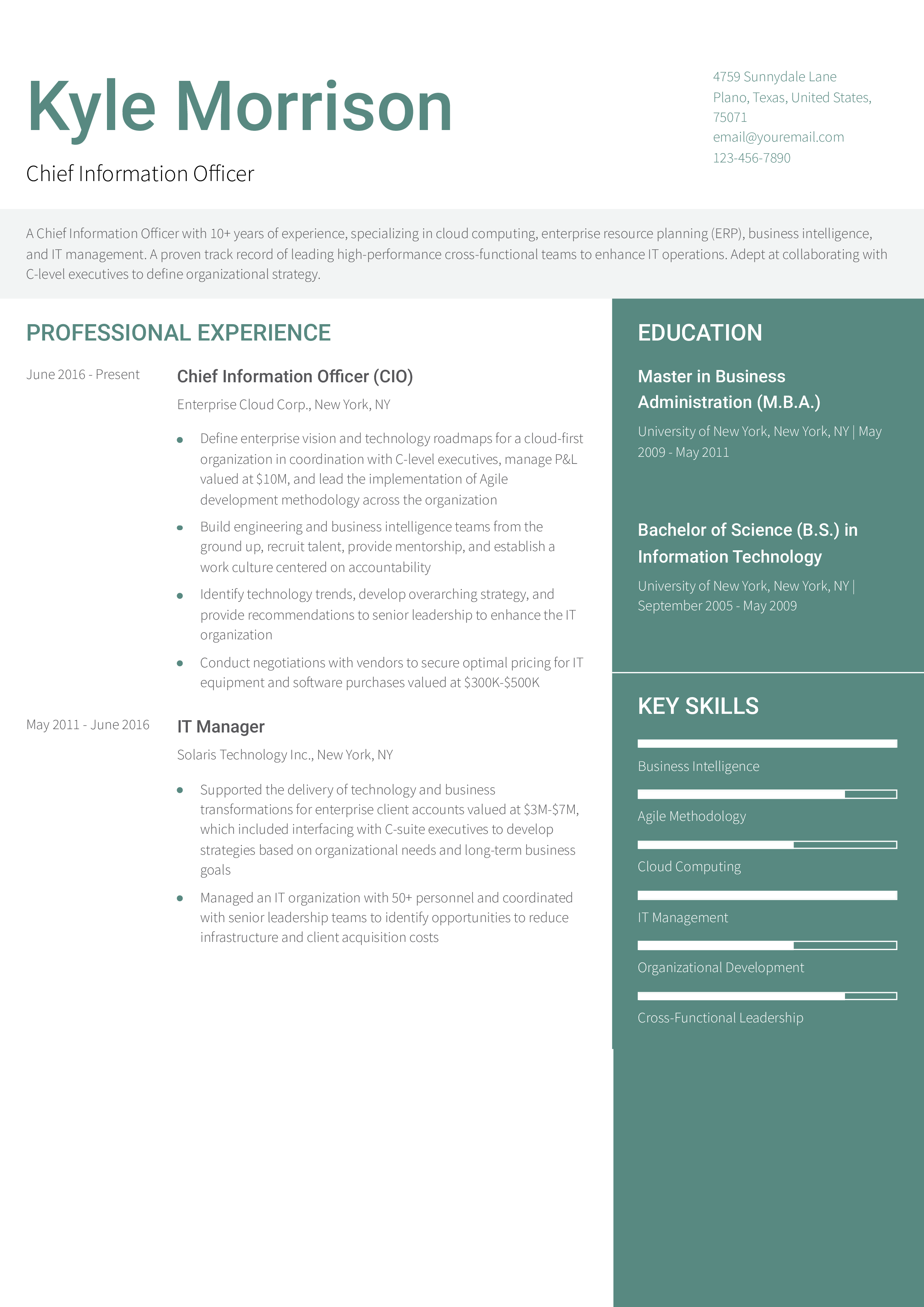 Chief Information Officer Resume Examples and Templates for 2024 ...
