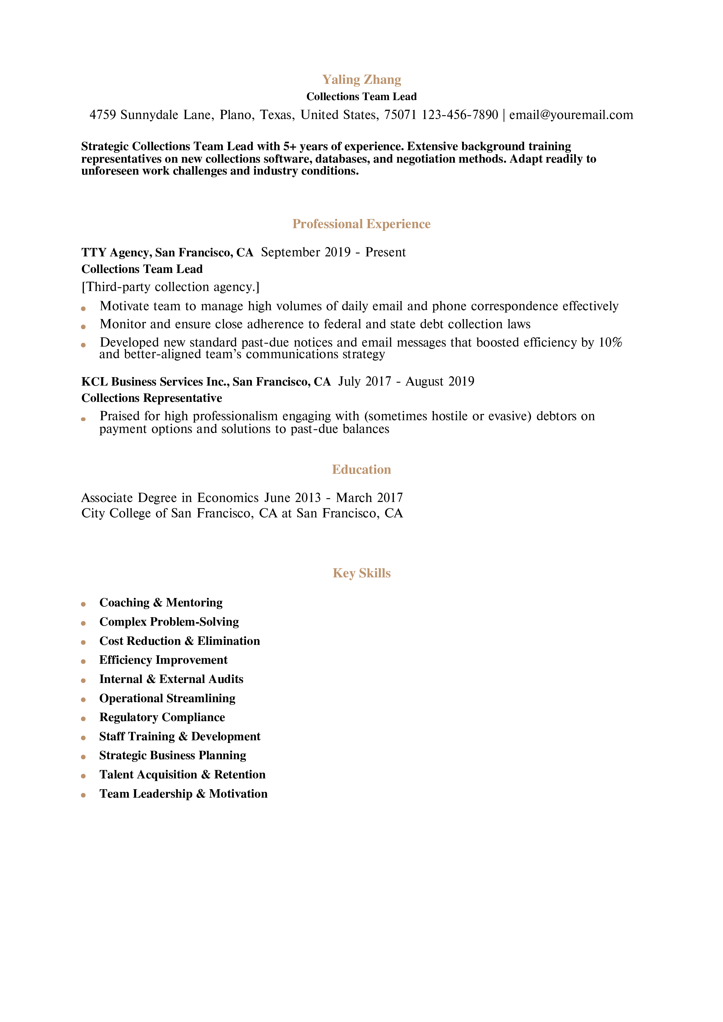 Collections Team Lead Resume Examples and Templates for 2024 ...