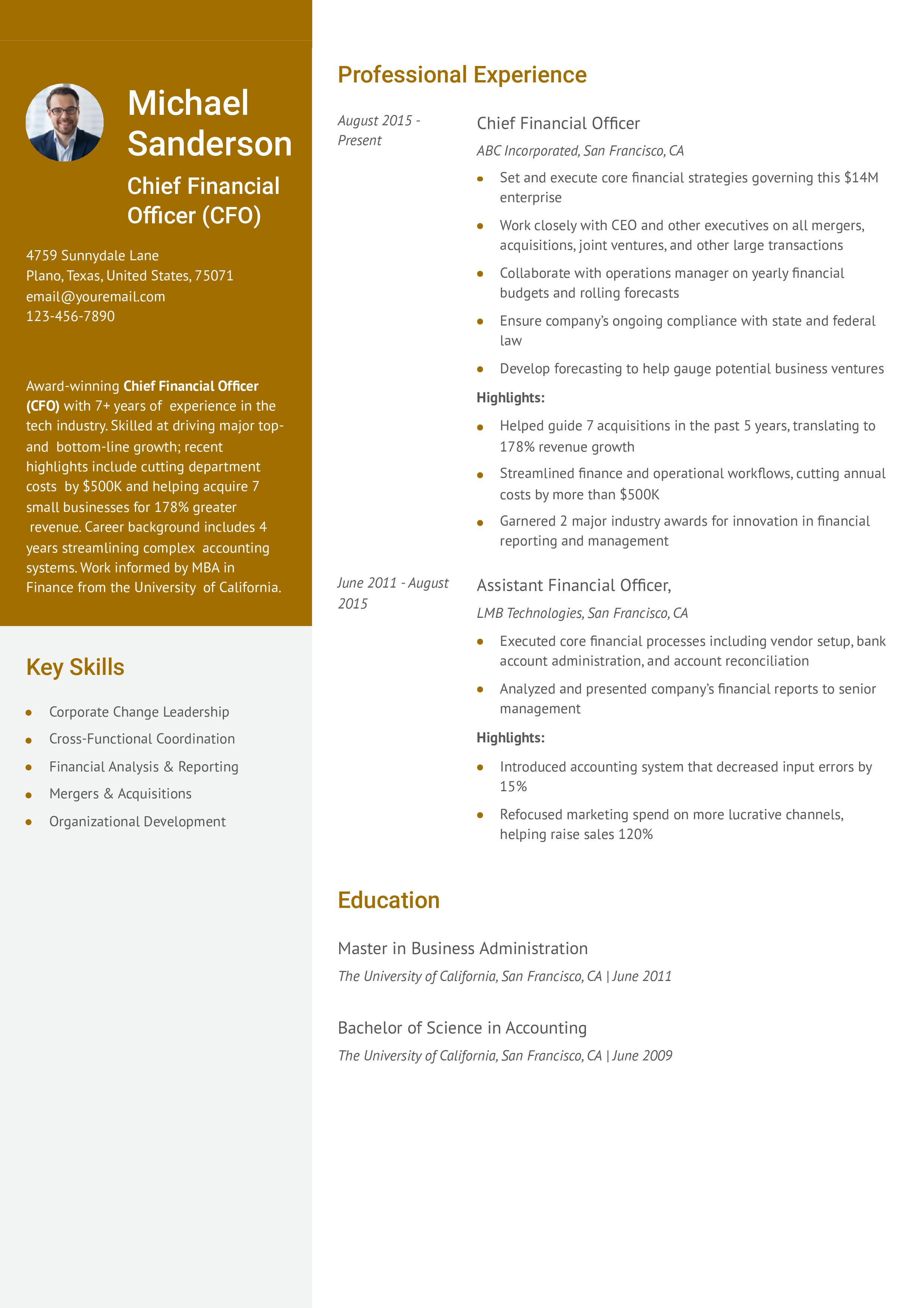 Chief Financial Officer Resume Examples and Templates for 2024 ...