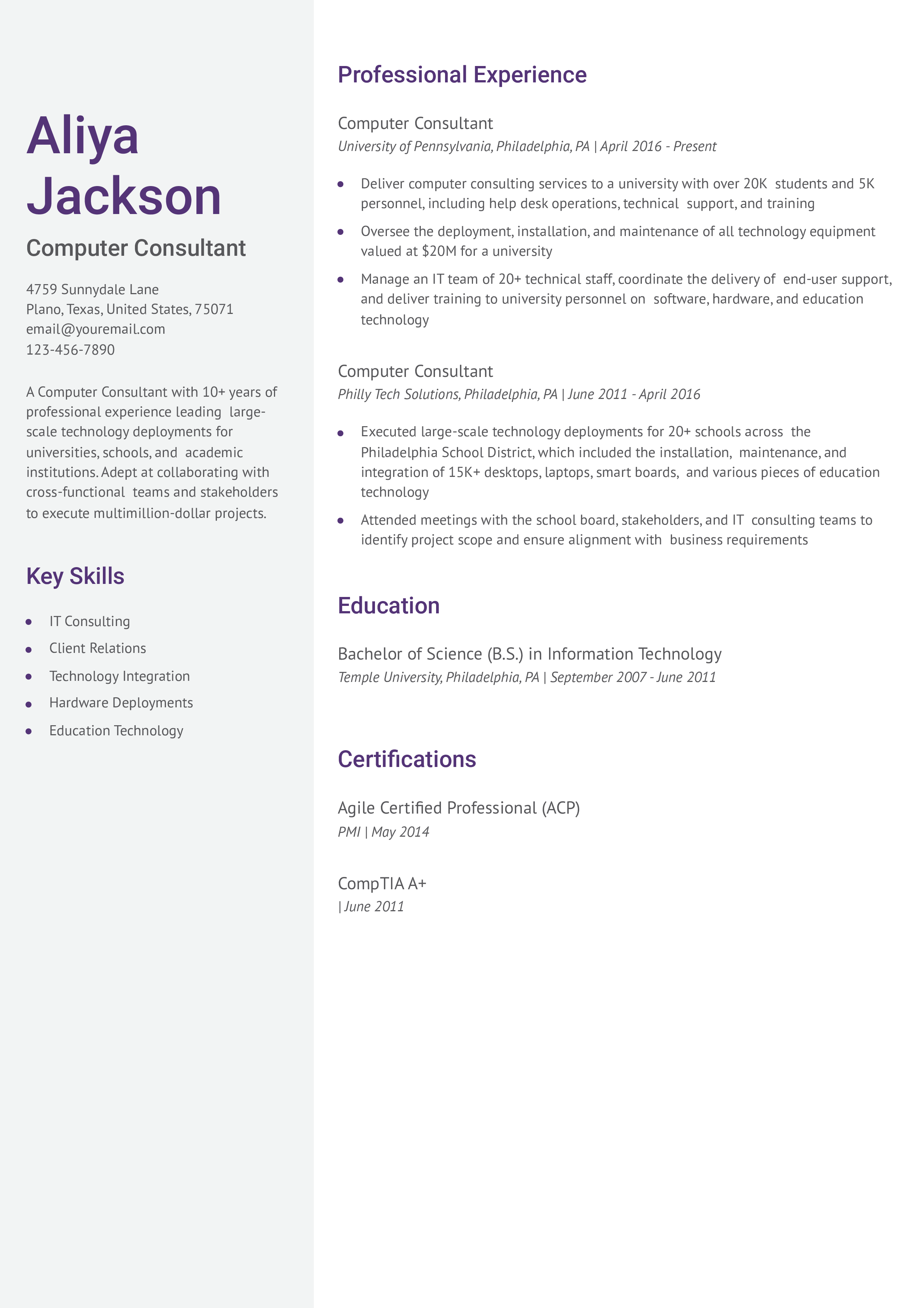 Computer Consultant Resume Examples and Templates for 2024 ...