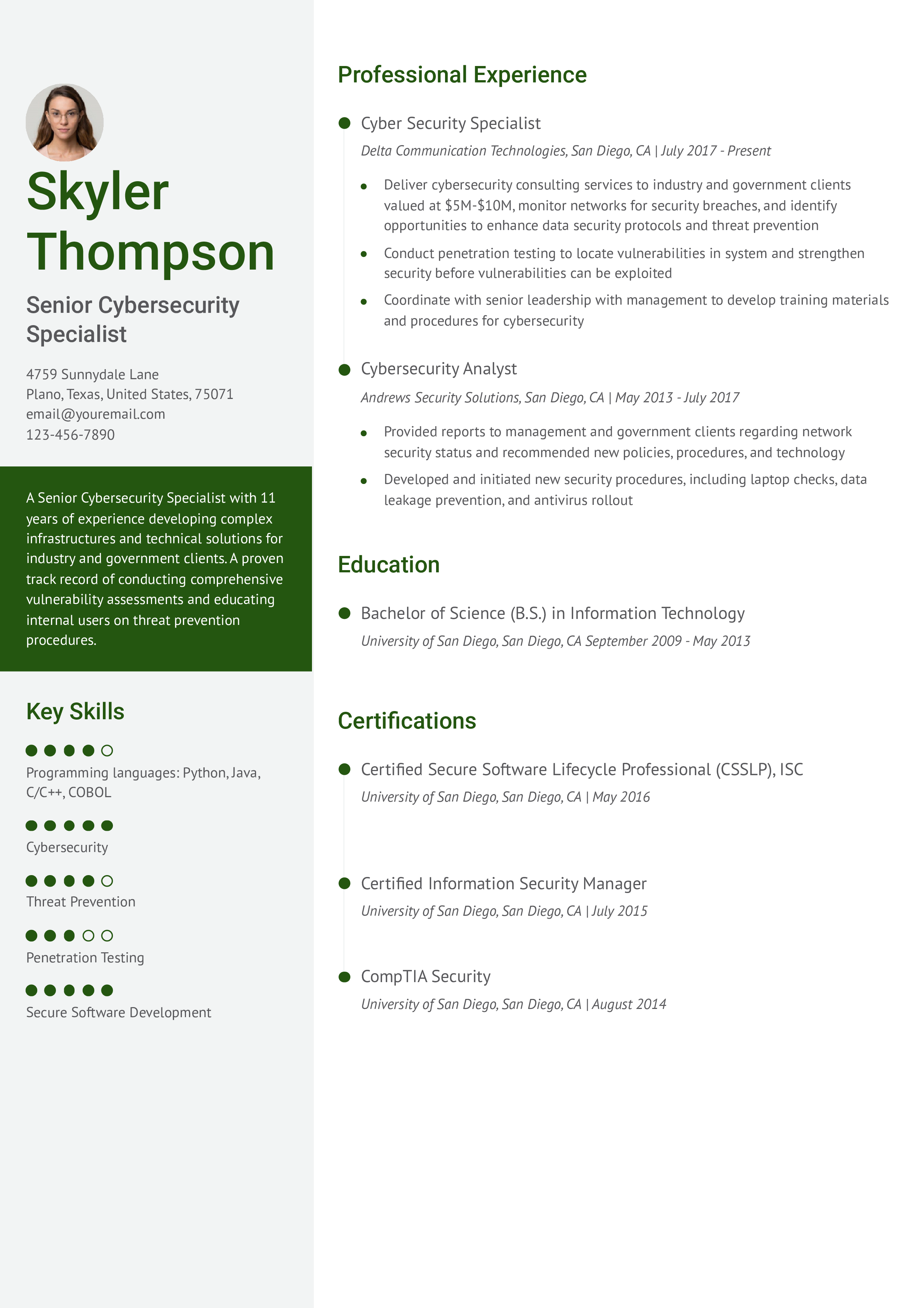 Information Technology (IT) Resume Examples and Templates for 2024 ...