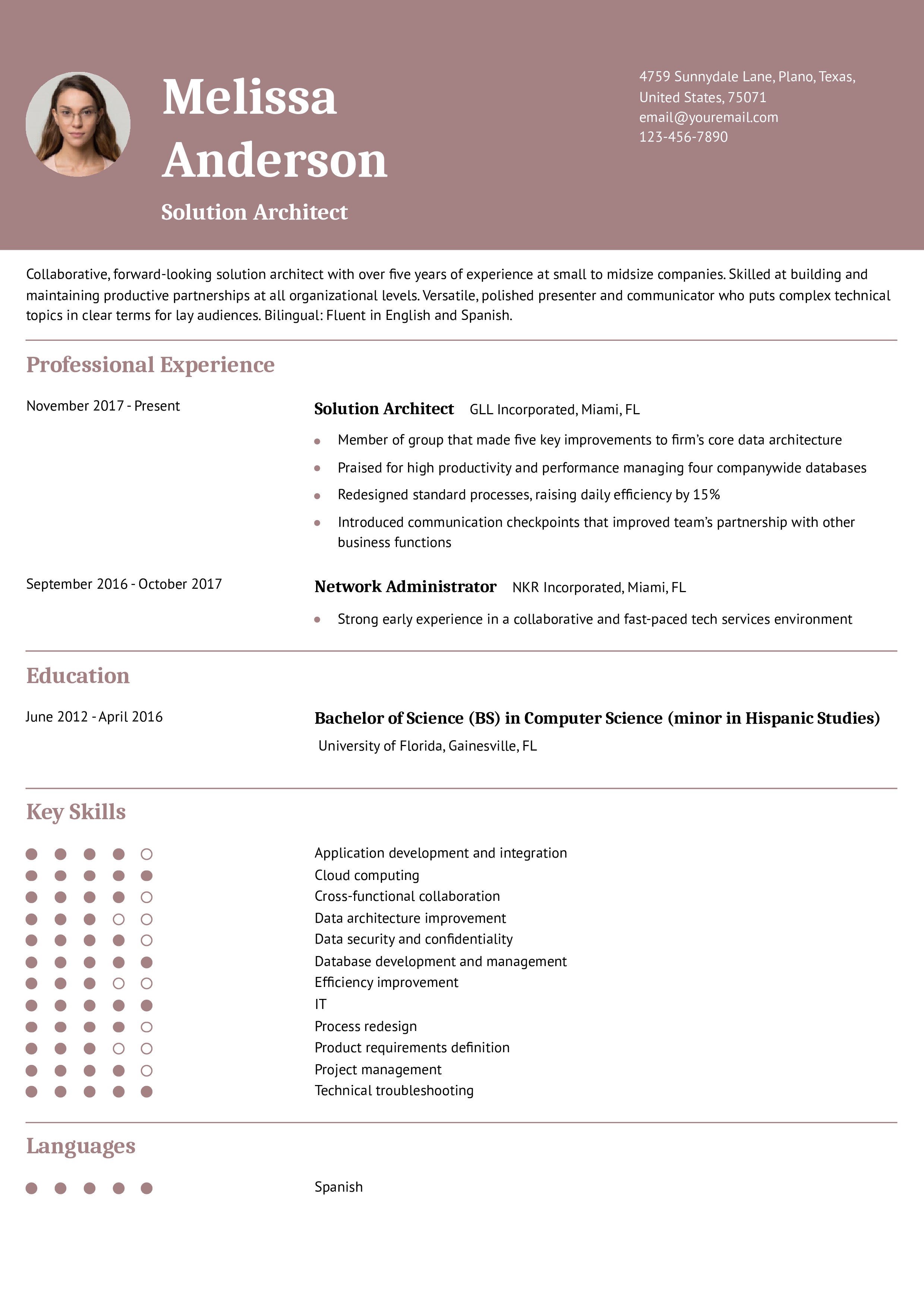 Solution Architect Resume Examples and Templates for 2024 ...