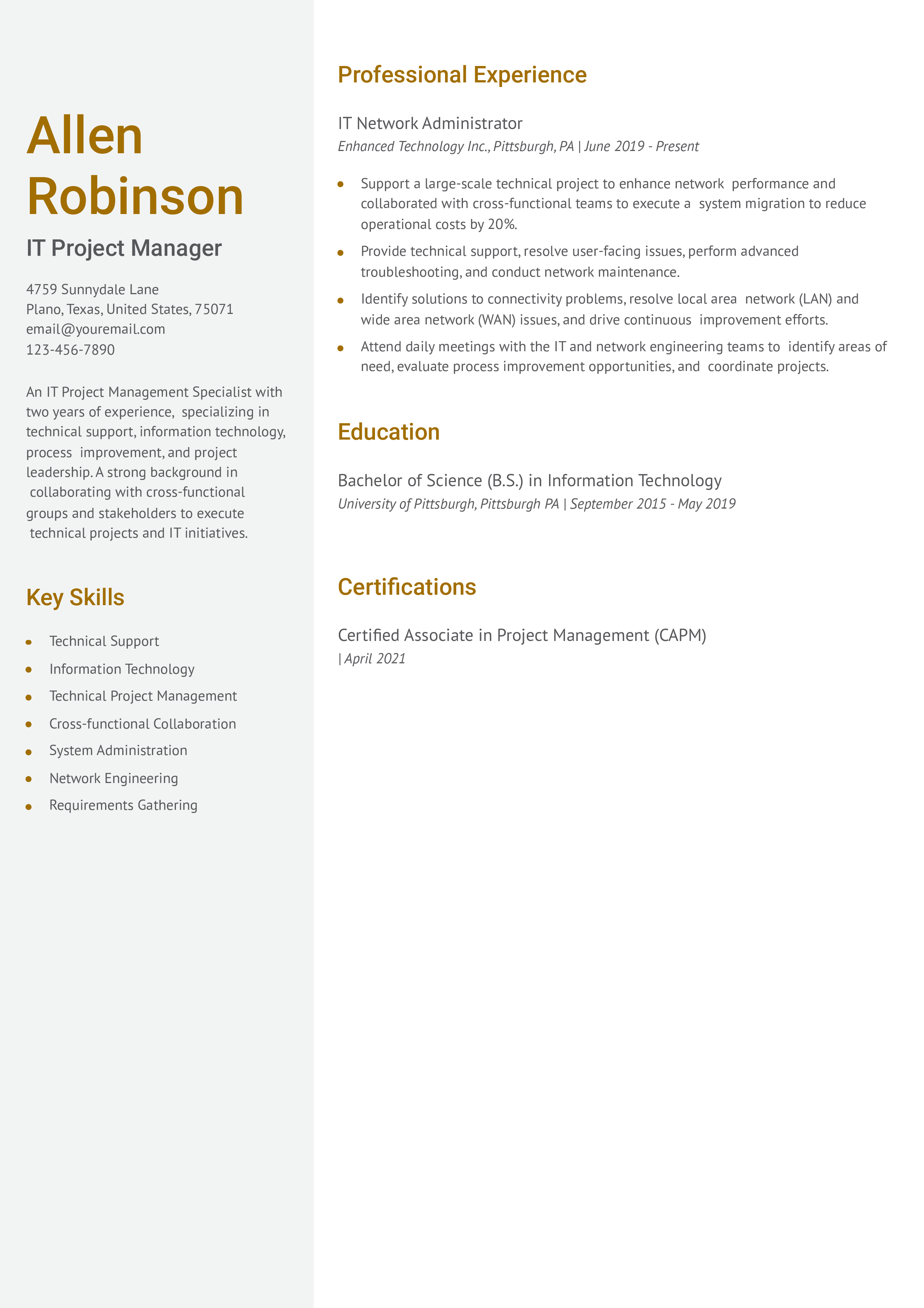 IT Project Manager Resume Examples and Templates for 2025 ...