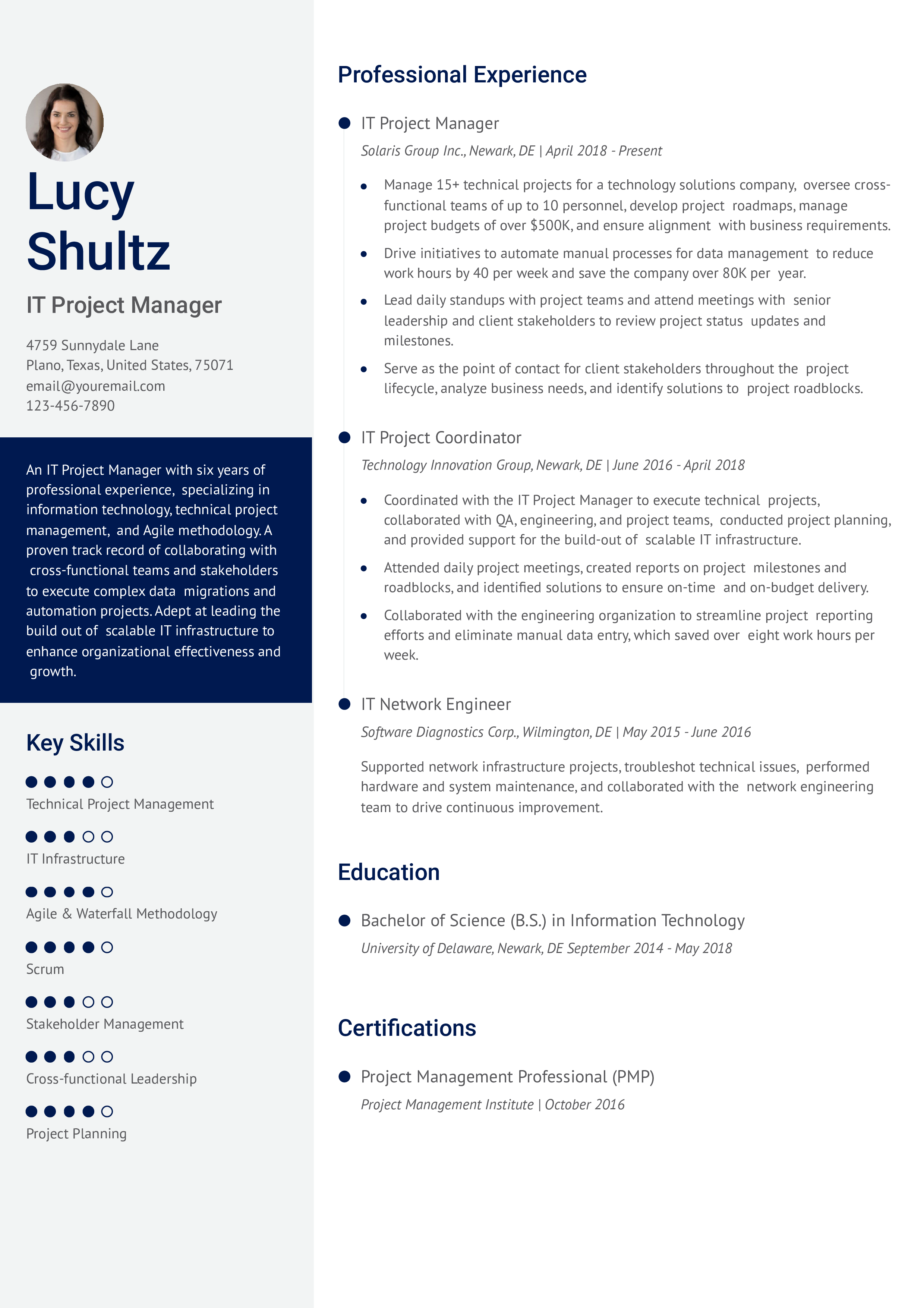 IT Project Manager Resume Examples and Templates for 2025 ...