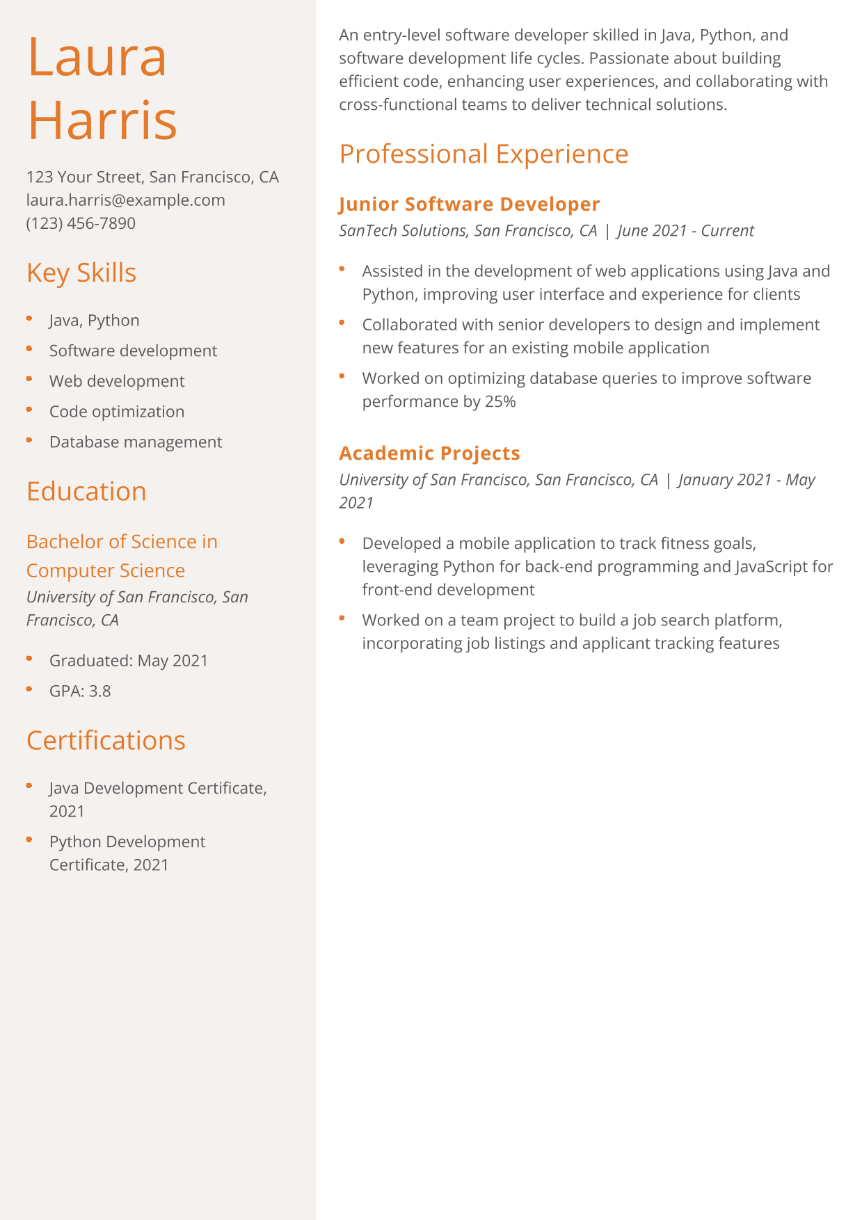 Junior Python Developer Idego