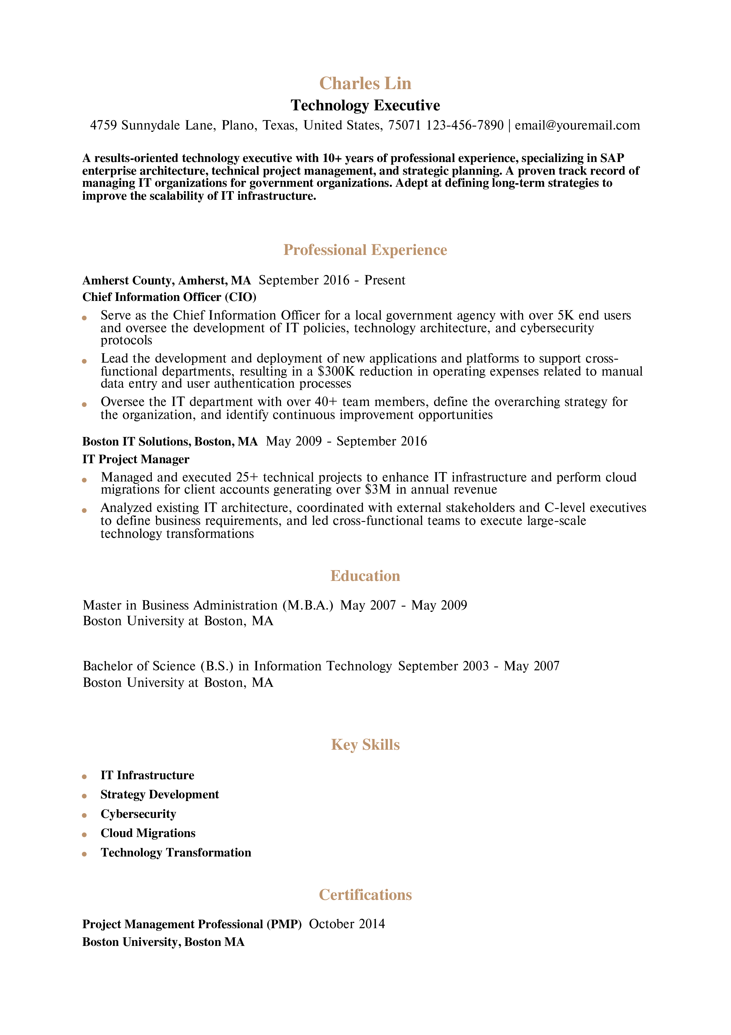 Chief Information Officer Resume Examples and Templates for 2024 ...
