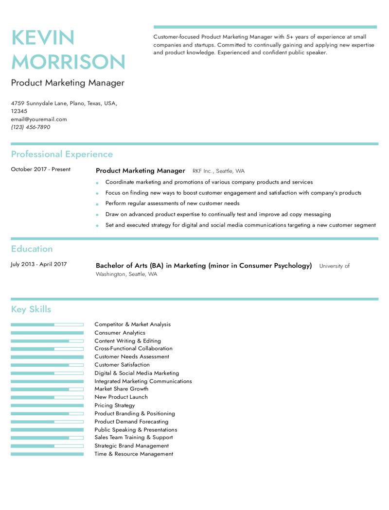 Professional Product Marketing Manager Resume Examples and Templates ...