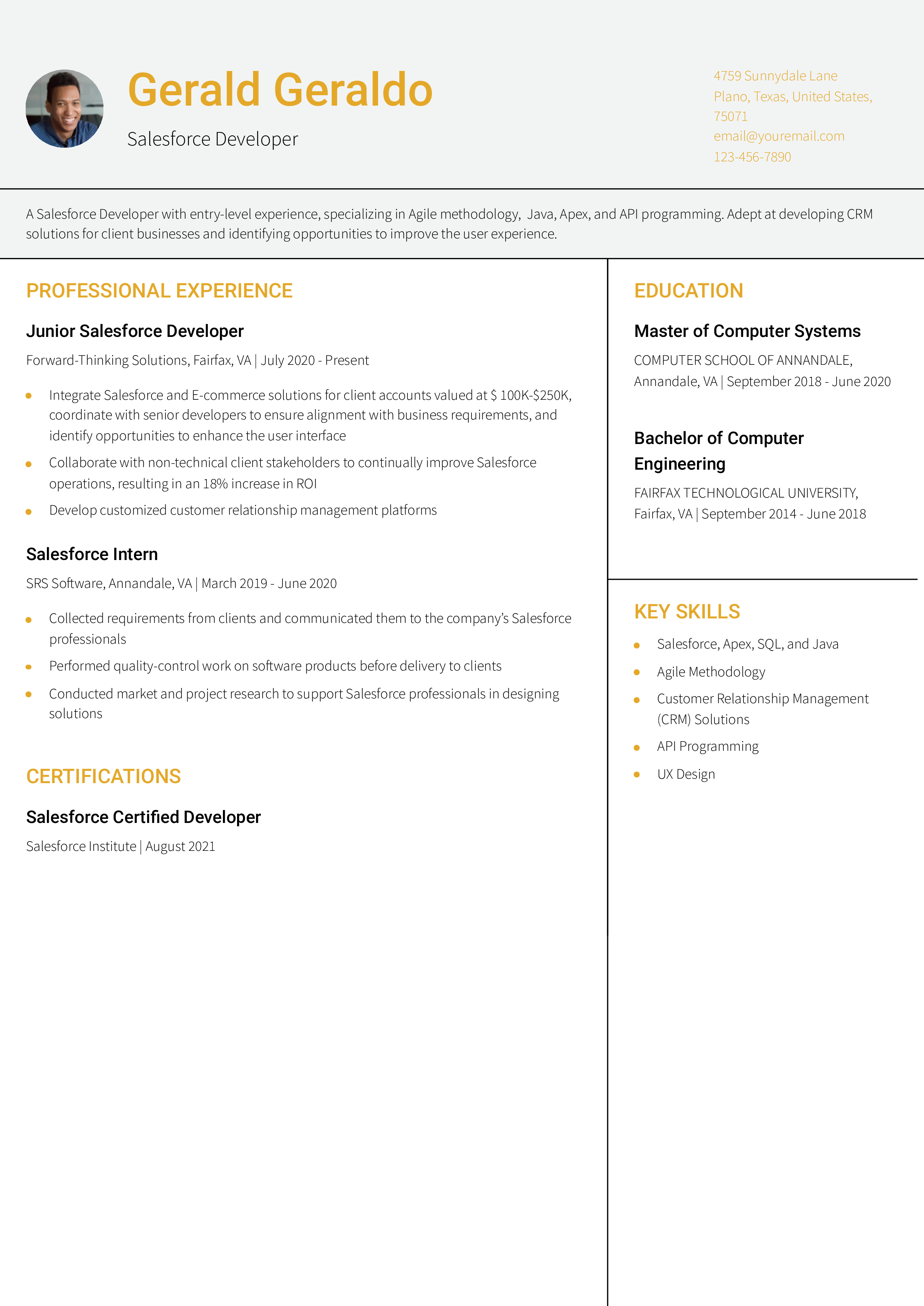 Salesforce Developer Resume Examples and Templates for 2024 ...