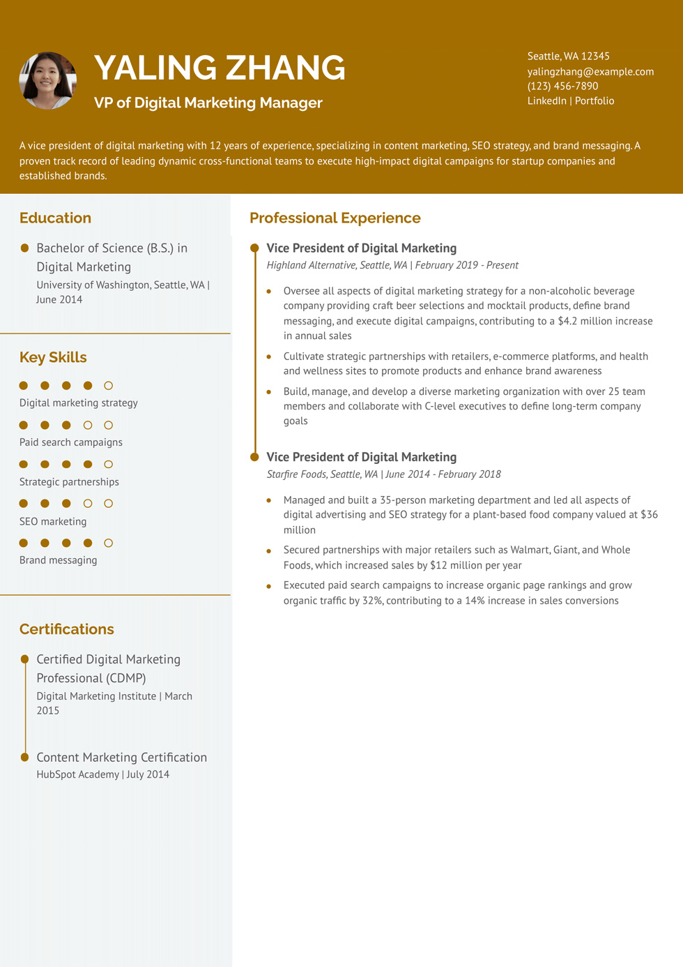 9 Digital Marketing Resume Examples and Templates for 2025 ...