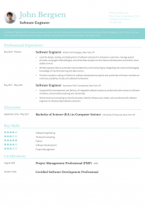 Software Engineer Resume Examples and Templates for 2024 ...