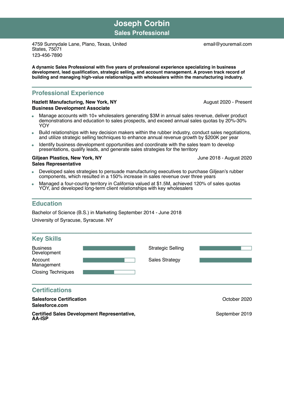 Sales Representative Resume Examples and Templates for 2025 ...